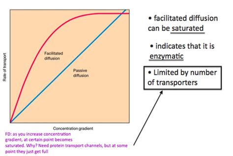 MCDB 111 Midterm 1 Flashcards Quizlet