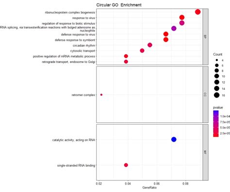 In Silico Identification And Characterization Of CircRNAs During Host Pathogen Interactions