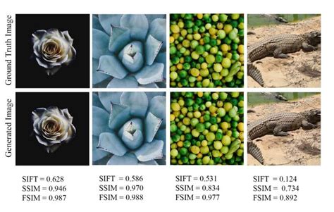 10 Comparison Of Sift Ssim And Fsim Algorithms On Sample Test Images