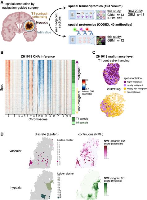 Integrative Spatial Analysis Reveals A Multi Layered Organization Of