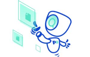 Mishandling PII The Risks And Consequences PII Tools