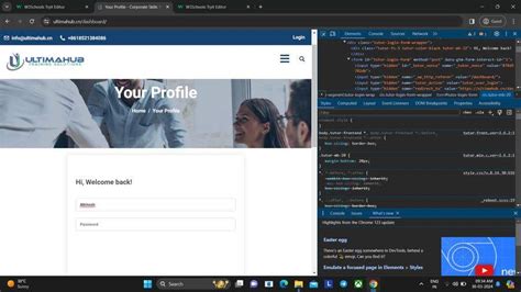 Entry 22 By Abineshbs For Font Correction For Input Fields Freelancer