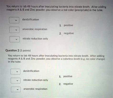 Solved You Return To Lab 48 Hours After Inoculating Bacteria Into