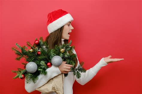 손바닥 작업 공간 복사 공간을 제시하는 가문비 나무 가지의 꽃다발을 들고 흰색 니트 스웨터 산타 모자를 쓰고 스튜디오의 붉은 색 배경 벽 위에 포즈를 취하는 것에 놀란 젊은