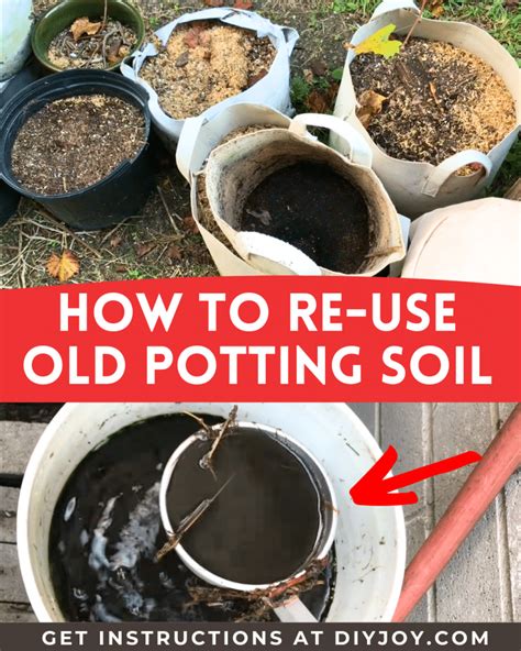 How To Reuse Old Potting Soil