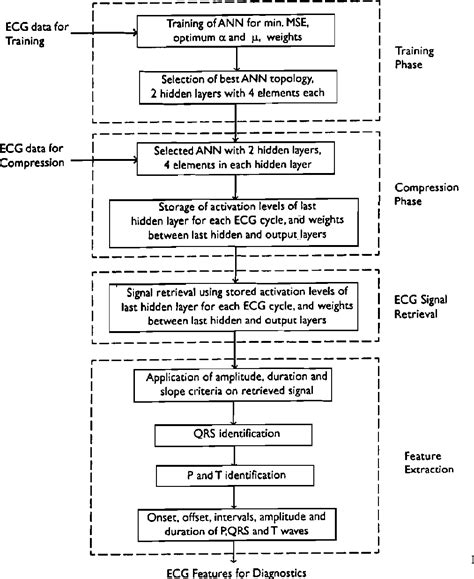 Figure 1 From Data Compression And Feature Extraction Of Ecg Signals Semantic Scholar