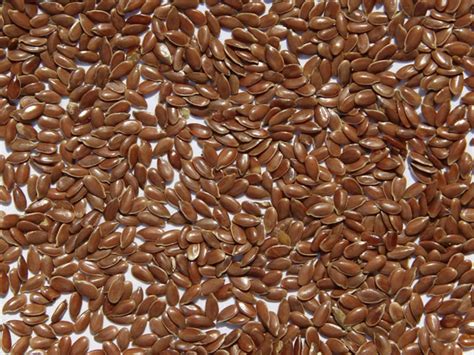 Натуральные кормовые добавки Корма для лошадей Биотех Ц