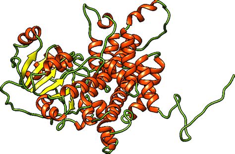 Visualization Of 3d Structure Of Steap2 By Pymolver 1 3 Download Scientific Diagram