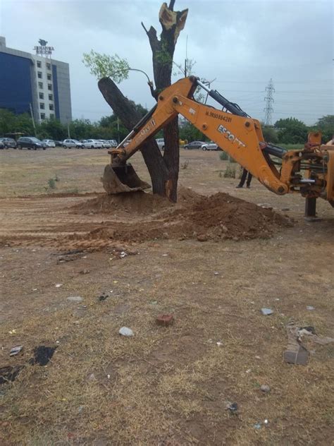 Tree Transplanting Services In India Tree Transplanting Services In India