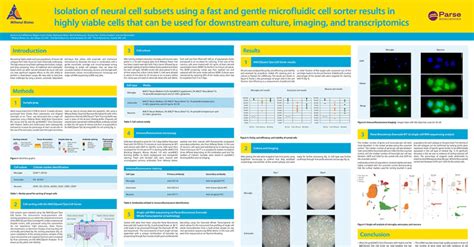 Poster Isolation Of Neural Cell Subsets Using A Fast And Gentle Microfluidic Cell Sorter