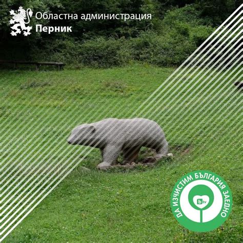 Област Перник се включва в кампанията Да изчистим България заедно