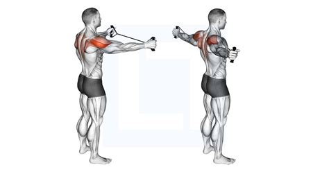 Cable Y Raise Guide Benefits And Form