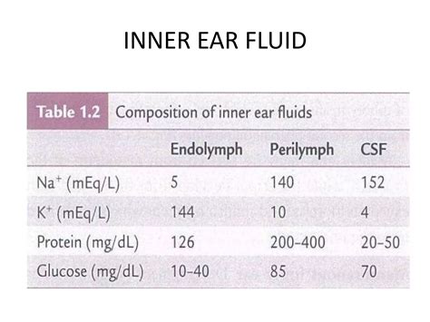 Anatomy Of Inner Ear Hk Pptx