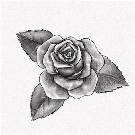 How To Draw A Rose In Pen And Ink Online Art Lessons Atelier Yuwa Ciao Jp