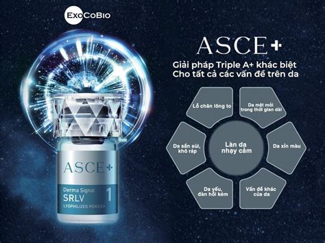 Exosome Asce Victory Global