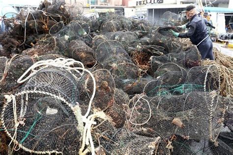 새해부터 달라지는 제도시책어구생산업 신고제