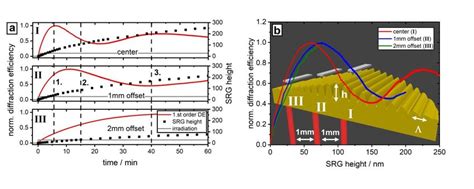 A In Situ Recorded SRG Height And Normalized Diffraction Efficiency