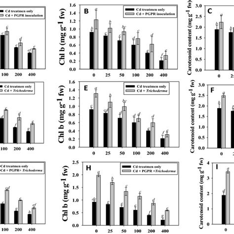 single inoculation effect of pgpr a c trichoderma spp d f and