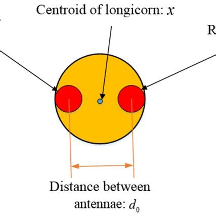 Simplified Model Of Beetle Antennae Search Download Scientific Diagram