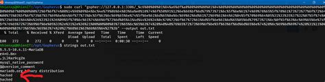 Exploit Ssrf Với Gopher Protocol Nhienit