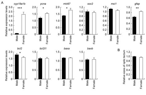 Examination Of Sex Differences In The Expression Of Cell Life Download Scientific Diagram