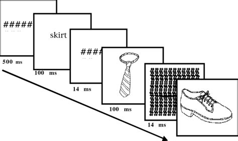 Sequence Of Events On Each Trial Of Experiments 2a 2b And 3 Using The Download Scientific