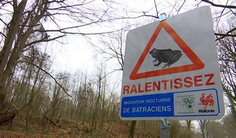 Quartiers Dhistoires Baudour Au Début Des Années 50 Tele Mb