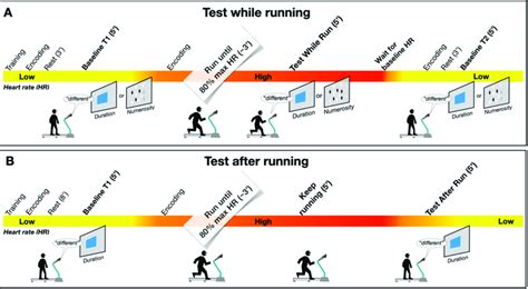 Experimental Procedure A Paradigm Used To Measure Duration And Download Scientific Diagram