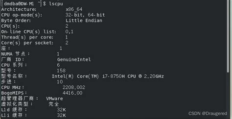 dm数据库的一些实操总结 csdn博客