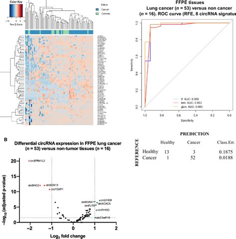 A Heatmap Showing The Circrna Expression In Lung Cancer And Control Download Scientific
