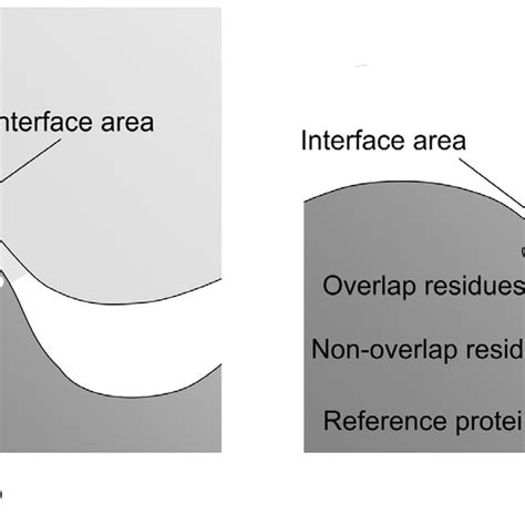 Schematic Representation Of A Pp Complex Left And A Pl Complex Download Scientific Diagram