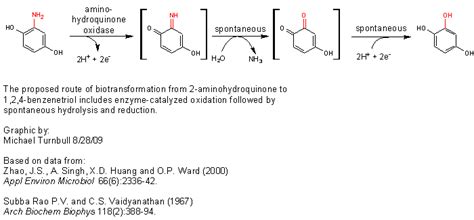 Eawag Bbd Reaction Reacid R1497