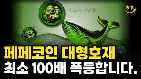 페페코인 분석 페페코인 대형 호재 떴습니다 고래 매집 포착 무조건 폭등 트럼프 일론 머스크 페페코인 다음으로 상승할 밈코인 페페코인 목표가 페페코인 전망 비트코인