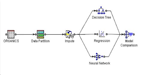 Layout Of The Sas Enterprise Miner Workflow For The Comparison Of