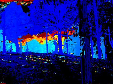 Densestereo Reconstruction Ignoring All Images · Issue 297 · Colmapcolmap · Github