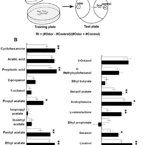 Training And Test For Larval Olfactory Associative Learning A