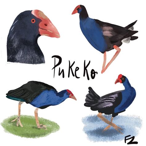 Farida Zaman On Linkedin Birbfest2024 Birbfest Dailyart