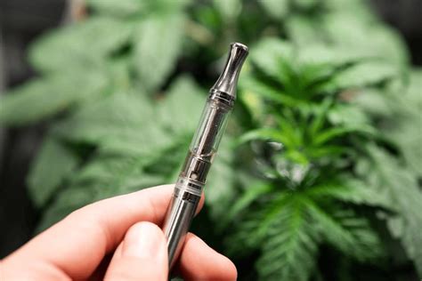 Mastering Your Thc Vape Pen The Steps To Vaping Success