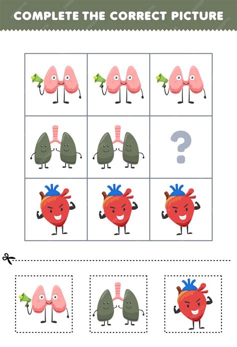 귀여운 만화 갑상선 폐 또는 심장 인쇄 가능한 해부학 워크시트의 올바른 그림을 선택하고 완료하는 어린이를 위한 교육 게임