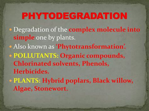 Types Of Bioremediation Pptx