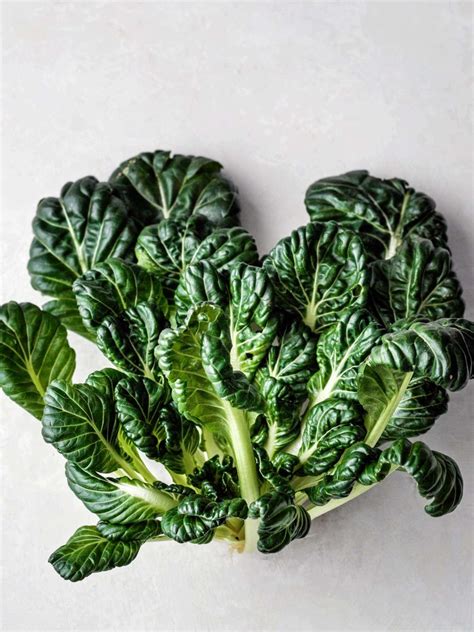 Whats The Difference Between Curly Tuscan And Russian Red Kale Artofit