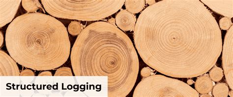 Structured Logging Best Practices Dev Community