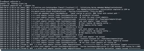 Real Time Data Synchronization And Cdc With Alibaba Canal ~ashpex