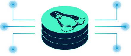 Cloud Based Patch Management Solutions For Linux JetPatch