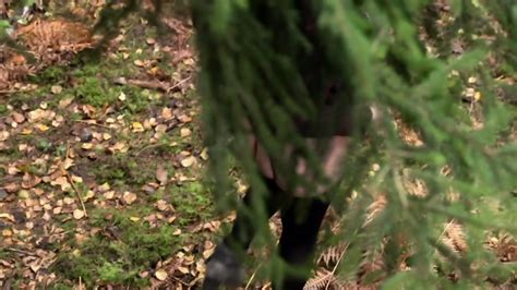 German Pierced Pussy Milf Marina Montana Hot Sex In The Woods By Costas Adonis