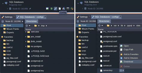 Establish Secure Ssl Connection To Postgresql Database Server Docktera