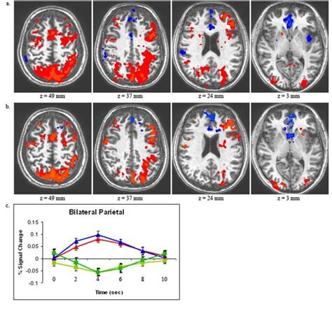 Neural System For Updating Object Working Memory From Different Sources