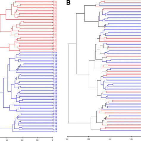 Impact Of Sex On Dna Methylation And Expression In Human Pancreatic