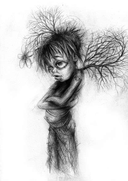 Tree Fairy CRAIG EVERETT