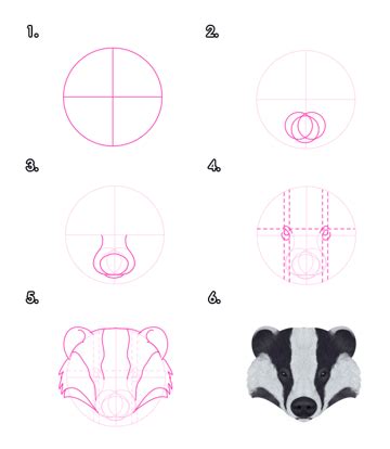 How To Draw Badger Ears
